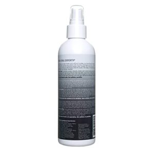 OUIDAD No Sweat Post- Workout Mist, 8.5 Fl. Oz.