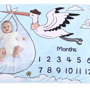 Baby Monthly Milestone Blanket Stork Carrying Baby Newborn Month Flannel Fleece Blanket Neutral Unisex Baby Boy Baby Girl Shower Gifts Double Sided Star 60" L x 40" W