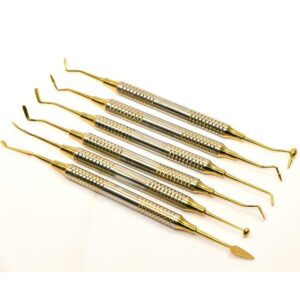 AR MEDICAL EQUIPMENTS | 6 PCs Dental Composite Resin Filling Gold Coated Restorative Kit - Composite Dental Hand Instruments - Dental Tools Professional Stainless Steel Restorative Instruments