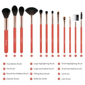 Makeup Brushes Set Professional from an Array of Eyeshadow Foundation Brushes to a Concealer Brush to Eyelash and Blusher Brushes 12 Pcs Make up Brush Kit -the Makeup World is Truly Your Oyster.