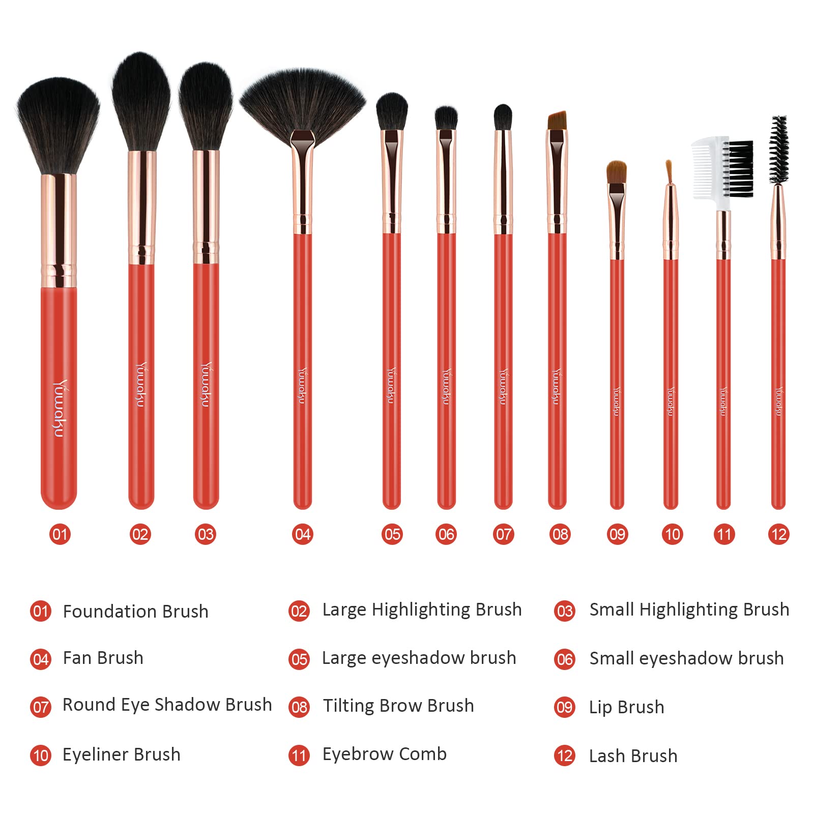 Makeup Brushes Set Professional from an Array of Eyeshadow Foundation Brushes to a Concealer Brush to Eyelash and Blusher Brushes 12 Pcs Make up Brush Kit -the Makeup World is Truly Your Oyster.