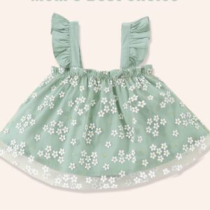 18 Months Baby Girl Clothes Toddler Clothes for Girls Short Set Short Sleeve Top Summer Outfits 18-24 Months Girl Clothes 24 Months Girl