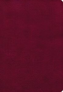 nasb super giant print reference bible, burgundy leathertouch, indexed