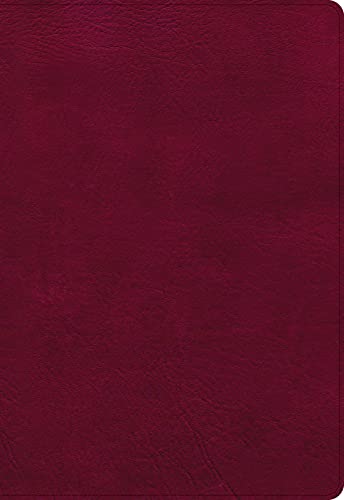 NASB Super Giant Print Reference Bible, Burgundy LeatherTouch, Indexed