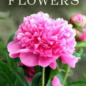 The Picture Book of Flowers: A Gift Book for Alzheimer's Patients and Seniors with Dementia (Picture Books - Nature)