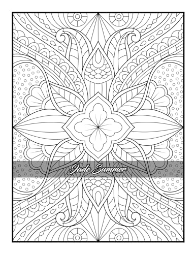 100 Amazing Patterns: An Adult Coloring Book with Fun, Easy, and Relaxing Coloring Pages