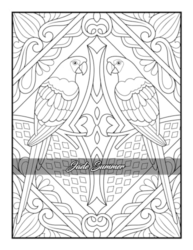 100 Amazing Patterns: An Adult Coloring Book with Fun, Easy, and Relaxing Coloring Pages