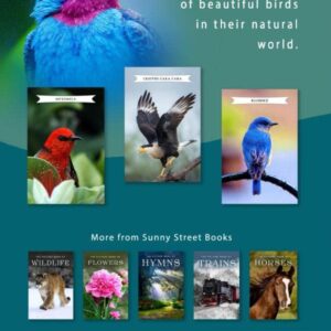 The Picture Book of Birds: A Gift Book for Alzheimer's Patients and Seniors with Dementia (Picture Books - Animals)