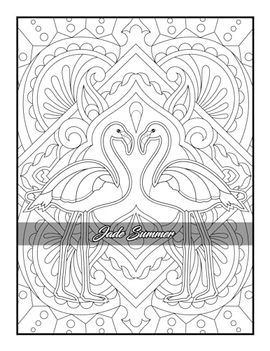 100 Amazing Patterns: An Adult Coloring Book with Fun, Easy, and Relaxing Coloring Pages