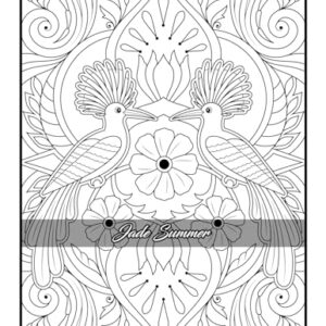 100 Amazing Patterns: An Adult Coloring Book with Fun, Easy, and Relaxing Coloring Pages