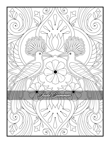 100 Amazing Patterns: An Adult Coloring Book with Fun, Easy, and Relaxing Coloring Pages