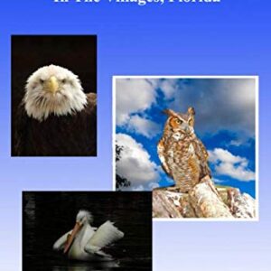 BIG Birds in The Villages, Florida: A Guide to