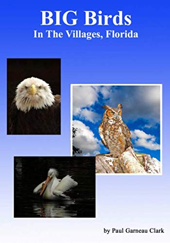 BIG Birds in The Villages, Florida: A Guide to