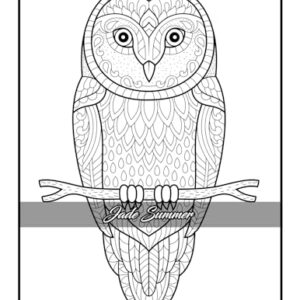 100 Animals: An Adult Coloring Book with Lions, Elephants, Owls, Horses, Dogs, Cats, and Many More!