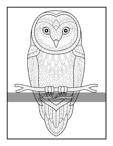 100 Animals: An Adult Coloring Book with Lions, Elephants, Owls, Horses, Dogs, Cats, and Many More!