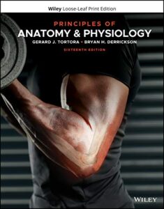 principles of anatomy and physiology