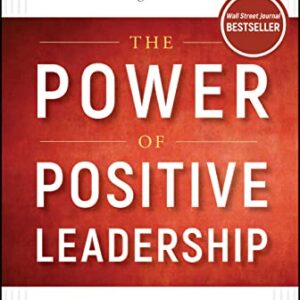 The Power of Positive Leadership: How and Why Positive Leaders Transform Teams and Organizations and Change the World (Jon Gordon)