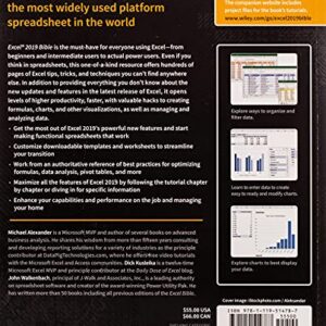 Excel 2019 Bible