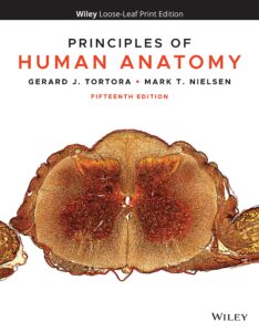 principles of human anatomy