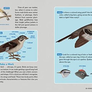 Outdoor School: Animal Watching: The Definitive Interactive Nature Guide