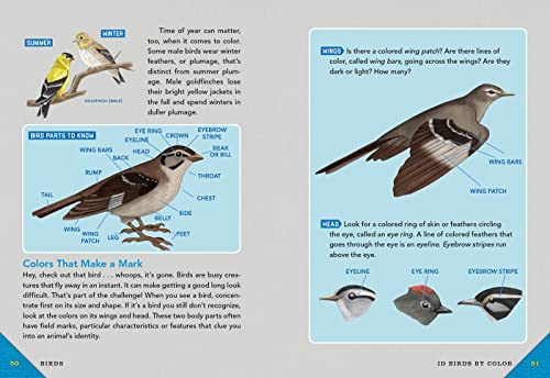 Outdoor School: Animal Watching: The Definitive Interactive Nature Guide