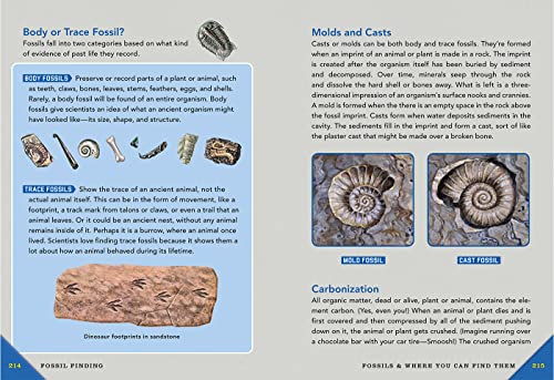 Outdoor School: Rock, Fossil, and Shell Hunting: The Definitive Interactive Nature Guide