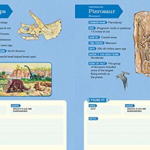 Outdoor School: Rock, Fossil, and Shell Hunting: The Definitive Interactive Nature Guide