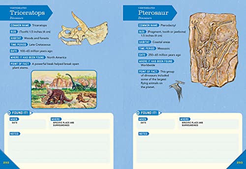 Outdoor School: Rock, Fossil, and Shell Hunting: The Definitive Interactive Nature Guide