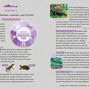 Outdoor School: Animal Watching: The Definitive Interactive Nature Guide