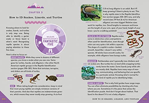 Outdoor School: Animal Watching: The Definitive Interactive Nature Guide