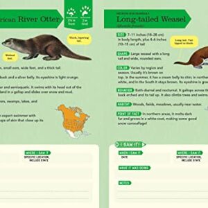 Outdoor School: Animal Watching: The Definitive Interactive Nature Guide