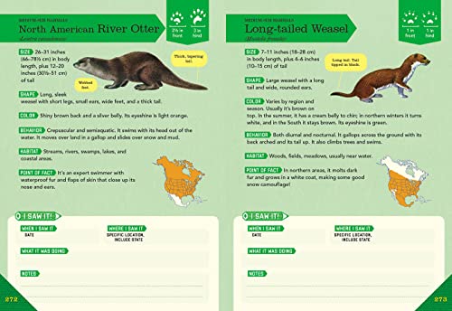 Outdoor School: Animal Watching: The Definitive Interactive Nature Guide