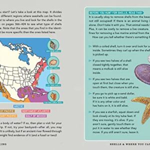 Outdoor School: Rock, Fossil, and Shell Hunting: The Definitive Interactive Nature Guide