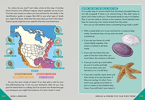 Outdoor School: Rock, Fossil, and Shell Hunting: The Definitive Interactive Nature Guide