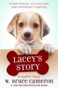 lacey's story: a puppy tale