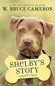 shelby's story: a puppy tale