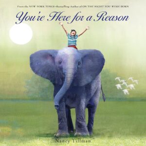 you're here for a reason (nancy tillman collection)