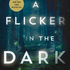 A Flicker in the Dark: A Novel