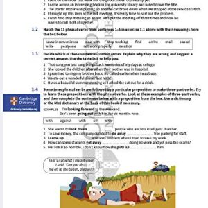 English Phrasal Verbs in Use Intermediate Book with Answers: Vocabulary Reference and Practice (Vocabulary in Use)