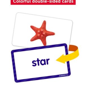 Flash Cards: Colors & Shapes