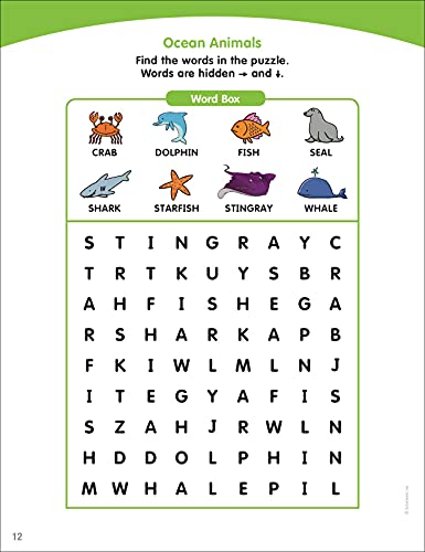 Little Skill Seekers: Word Searches