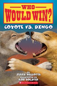 who would win?: coyote vs. dingo