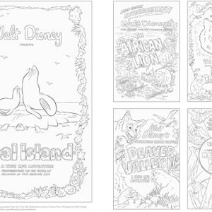 Art of Coloring: Disney 100 Years of Wonder: 100 Images to Inspire Creativity