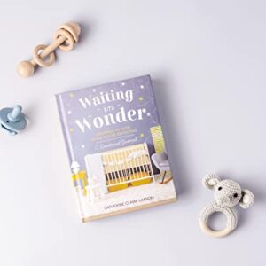 Waiting in Wonder: Growing in Faith While You're Expecting