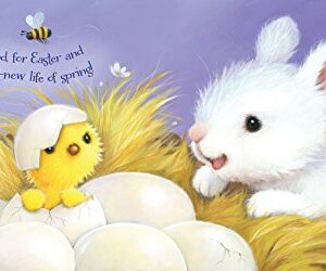 An Easter Prayer Touch and Feel: An Easter And Springtime Touch-and-Feel Book For Kids (Prayers for the Seasons)