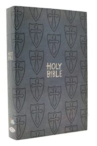 icb, gift and award bible, softcover, gray: international children's bible