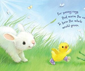 An Easter Prayer Touch and Feel: An Easter And Springtime Touch-and-Feel Book For Kids (Prayers for the Seasons)