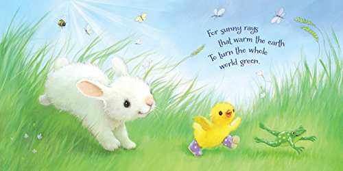 An Easter Prayer Touch and Feel: An Easter And Springtime Touch-and-Feel Book For Kids (Prayers for the Seasons)