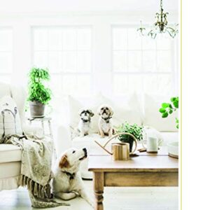 Cozy White Cottage: 100 Ways to Love the Feeling of Being Home