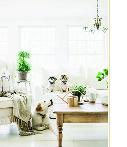 Cozy White Cottage: 100 Ways to Love the Feeling of Being Home